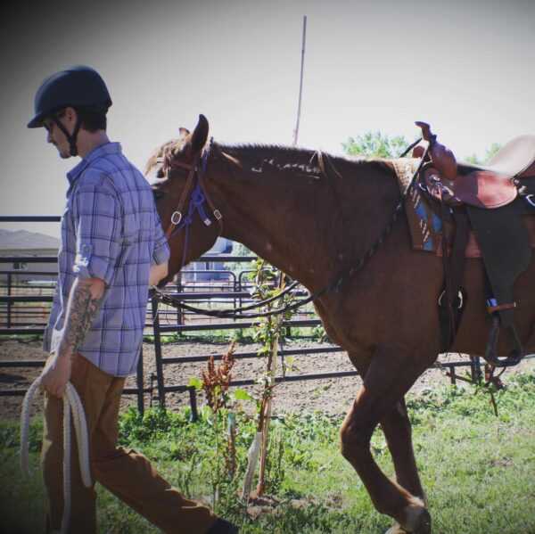 Allegiance Ranch and Equine Rescue – Pledging Allegiance to Horses and ...