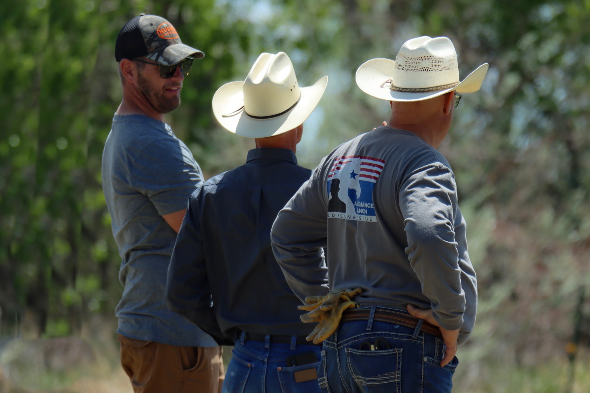 Allegiance Ranch and Equine Rescue – Pledging Allegiance to Horses and ...